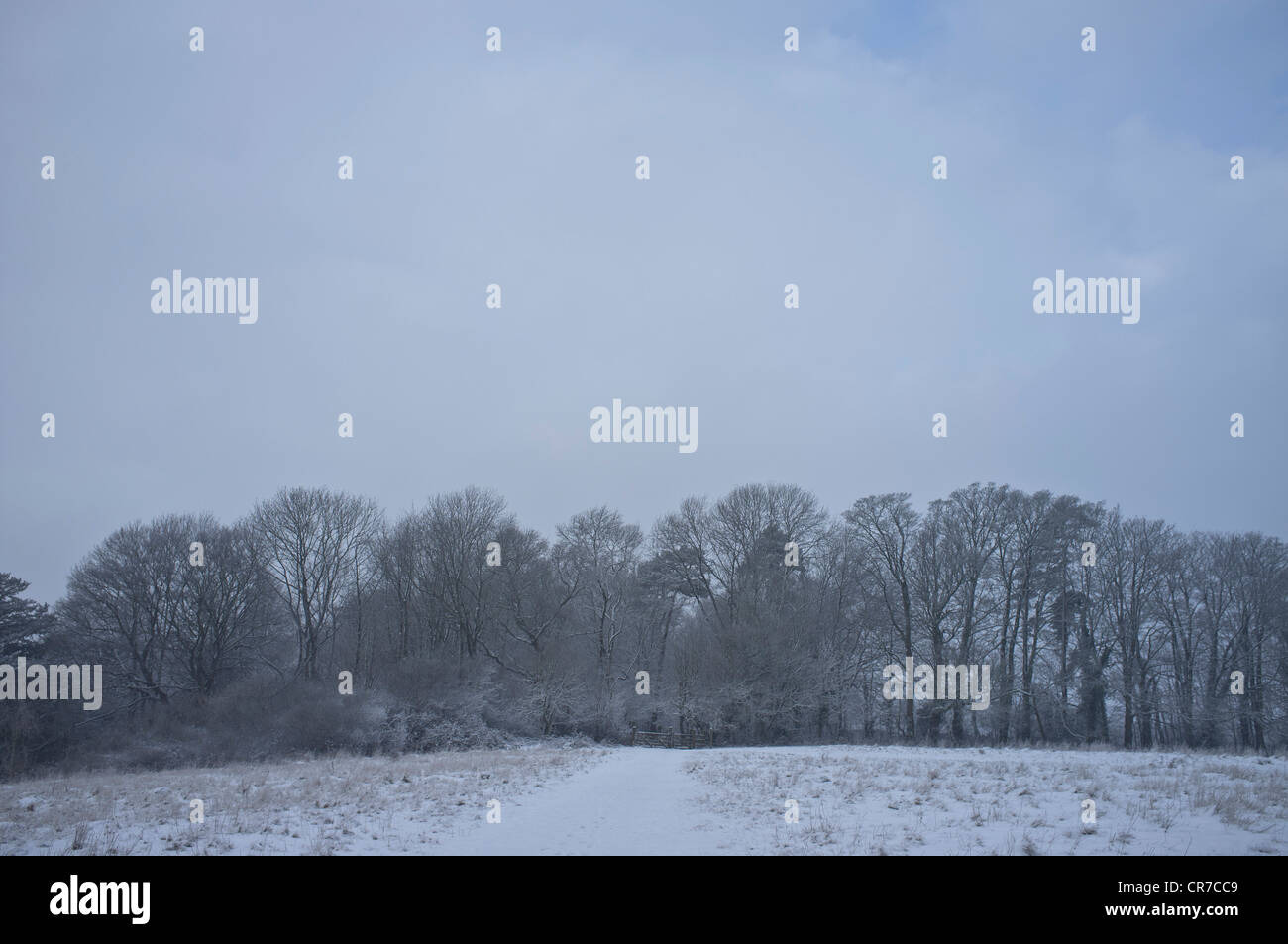 Narnia Landscape Stock Photos & Narnia Landscape Stock Images - Alamy