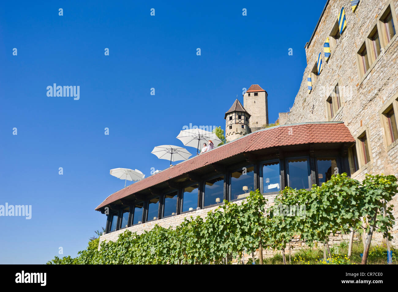 Burg Hornberg castle, Neckarzimmern, Neckartal, Baden-Wuerttemberg ...