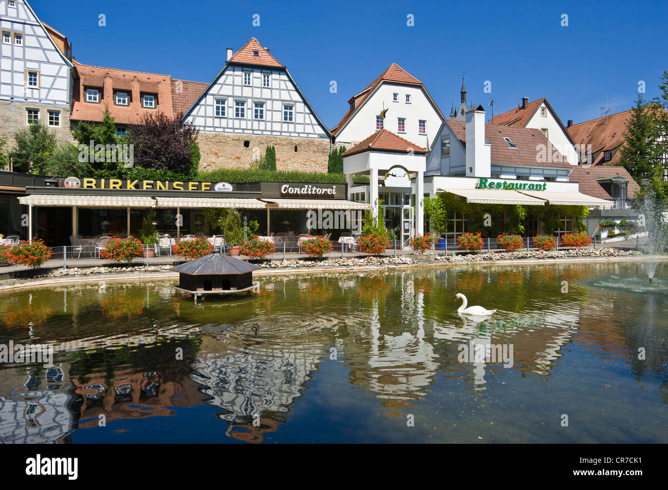 Cityscape at the town's moat with Birkensee Lake, Bad Wimpfen ...
