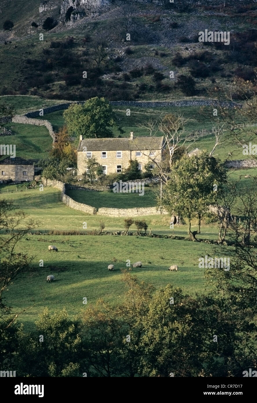 Picturesque farm setting with cows hi-res stock photography and images ...