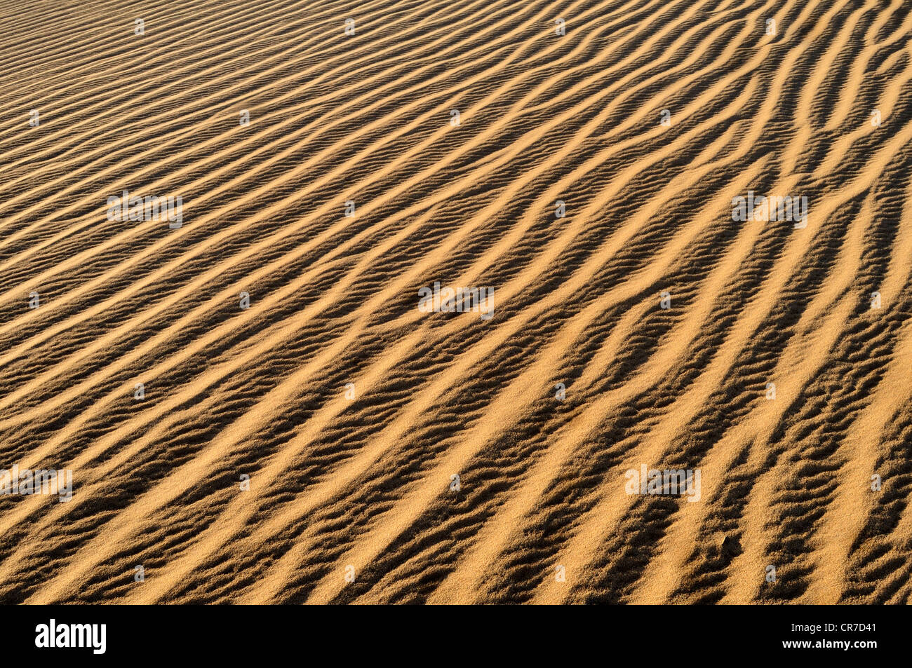 Algeria, Sahara, View of sand dunes Stock Photo - Alamy