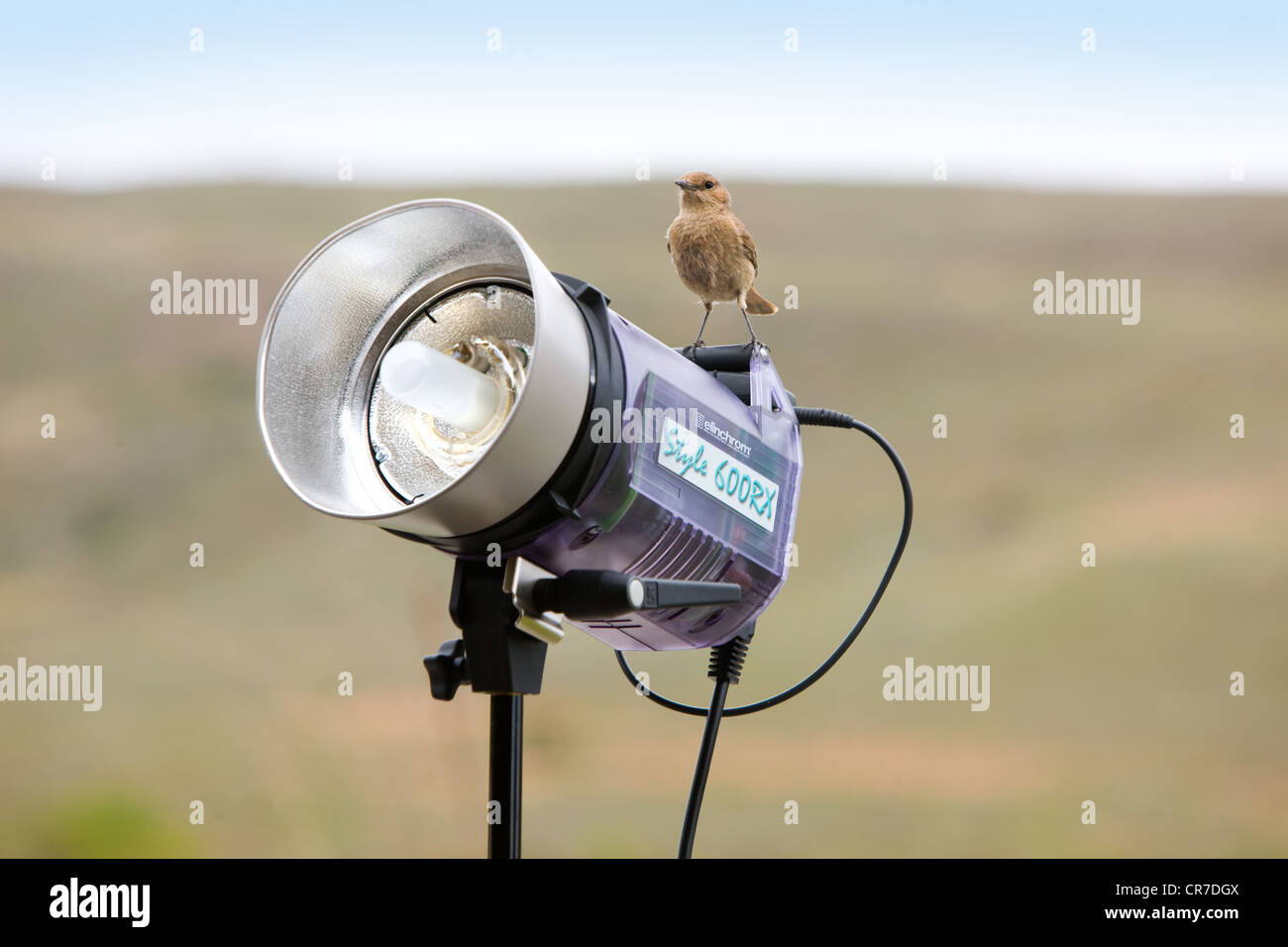 Sitting on light hi-res stock photography and images - Alamy