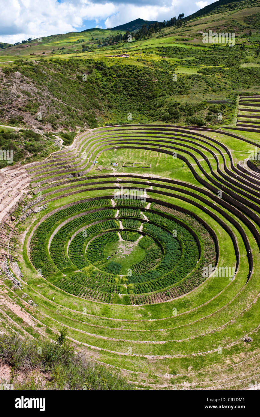 Moray inca hi-res stock photography and images - Alamy