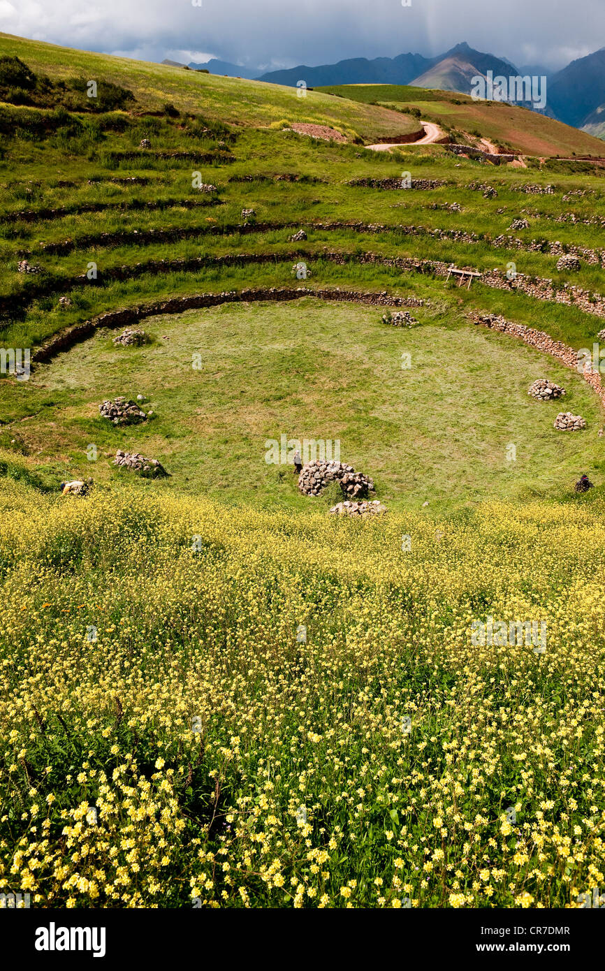 Peru, Cuzco Province, Incas sacred valley, Moray, Inca archeological ...