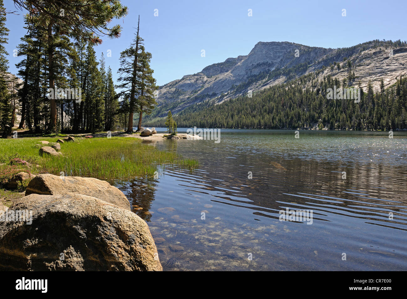 Early morning at Tenaya Lake in Yosemite National Park, California, USA ...
