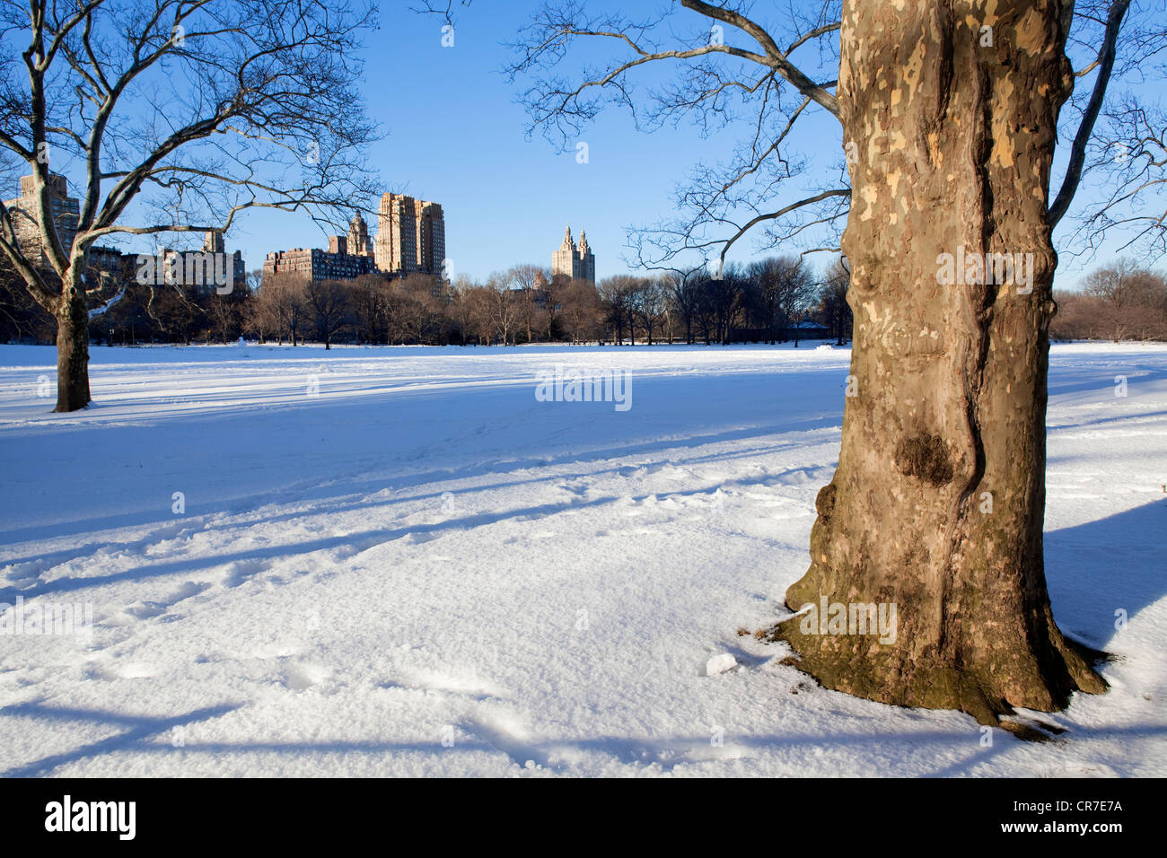 Central Park In Snow Manhattan High Resolution Stock Photography and ...