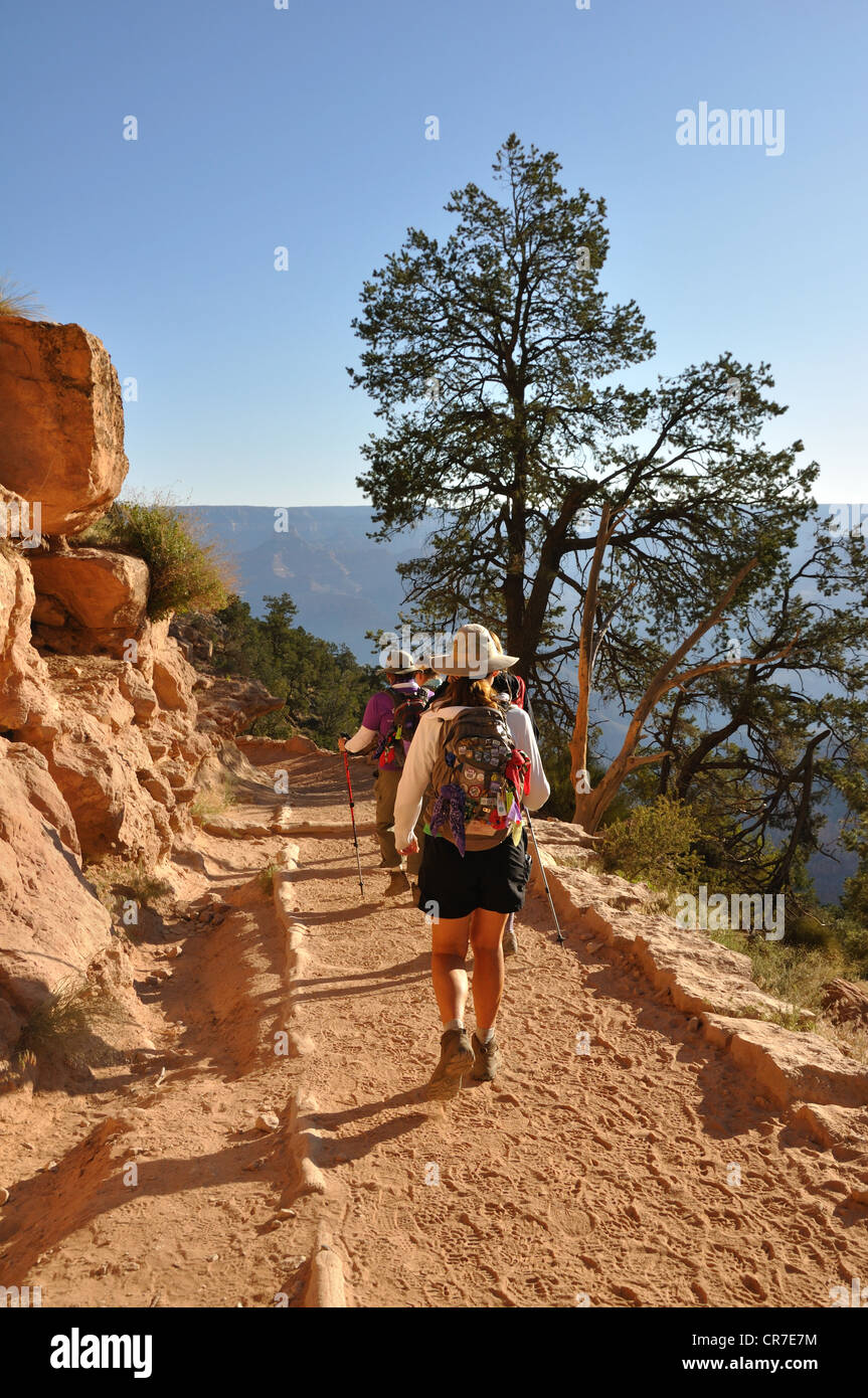 Bright Angel trail, Grand Canyon, Arizona, USA Stock Photo - Alamy