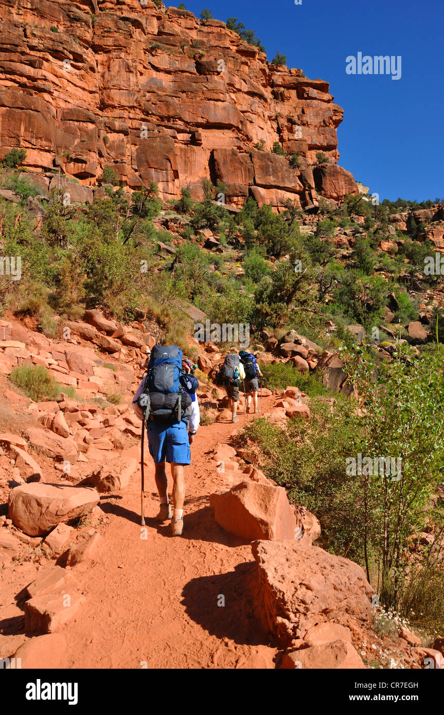 Bright Angel trail, Grand Canyon, Arizona, USA Stock Photo - Alamy