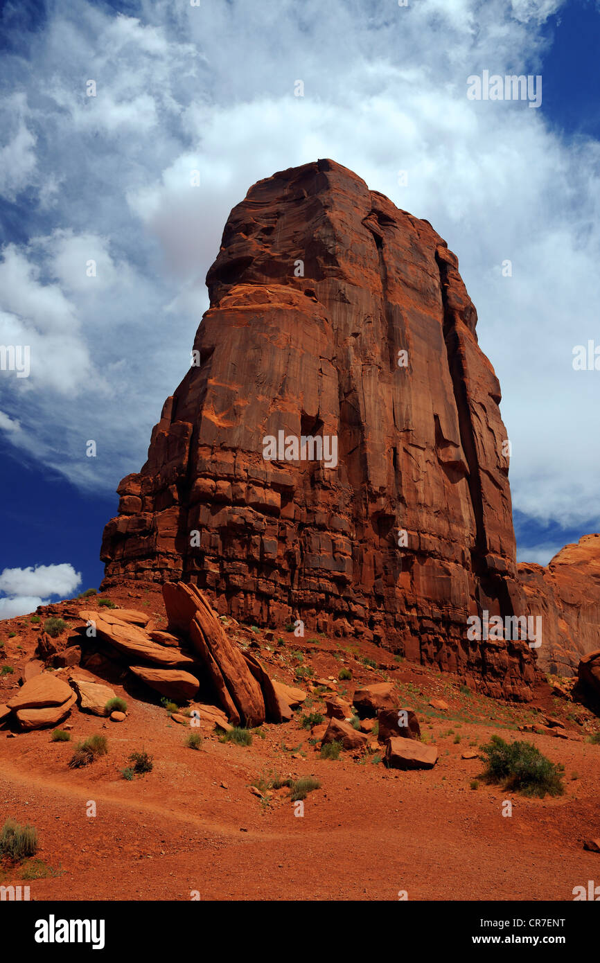 Arizona form hi-res stock photography and images - Alamy