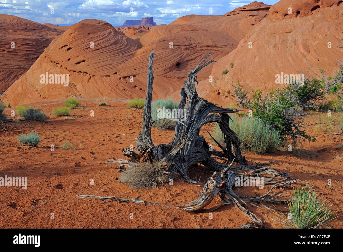 Mystery valley hi-res stock photography and images - Alamy