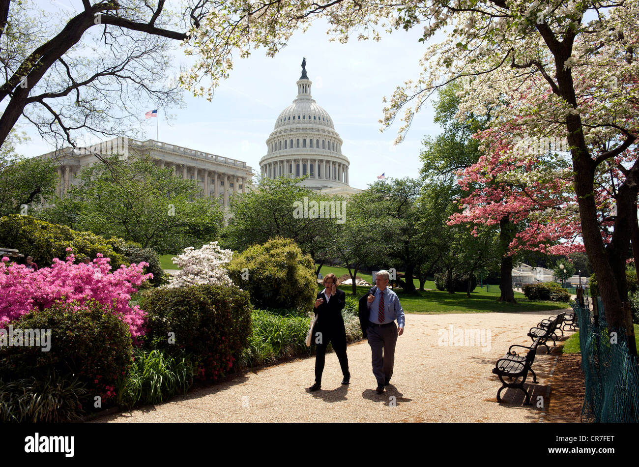 United States, Washington DC, The Mall, the Capitol Stock Photo - Alamy