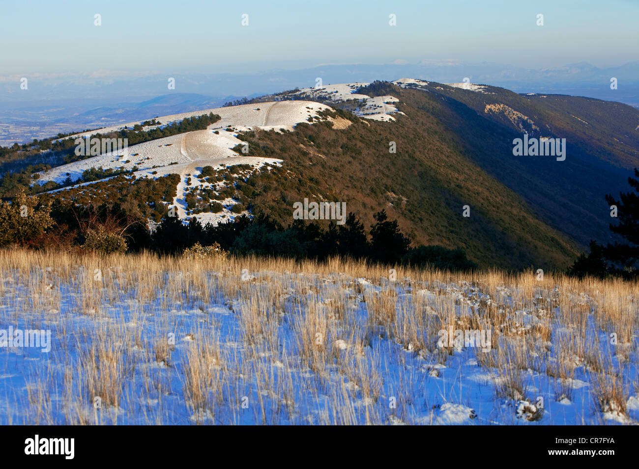 France, Vaucluse, Parc Naturel Regional du Luberon (Natural regional ...