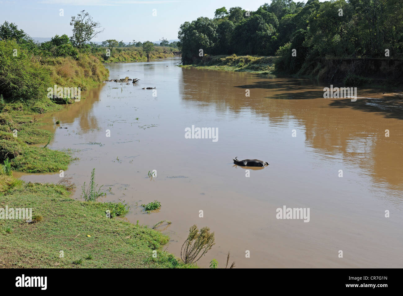 Mara river kenya hi-res stock photography and images - Alamy