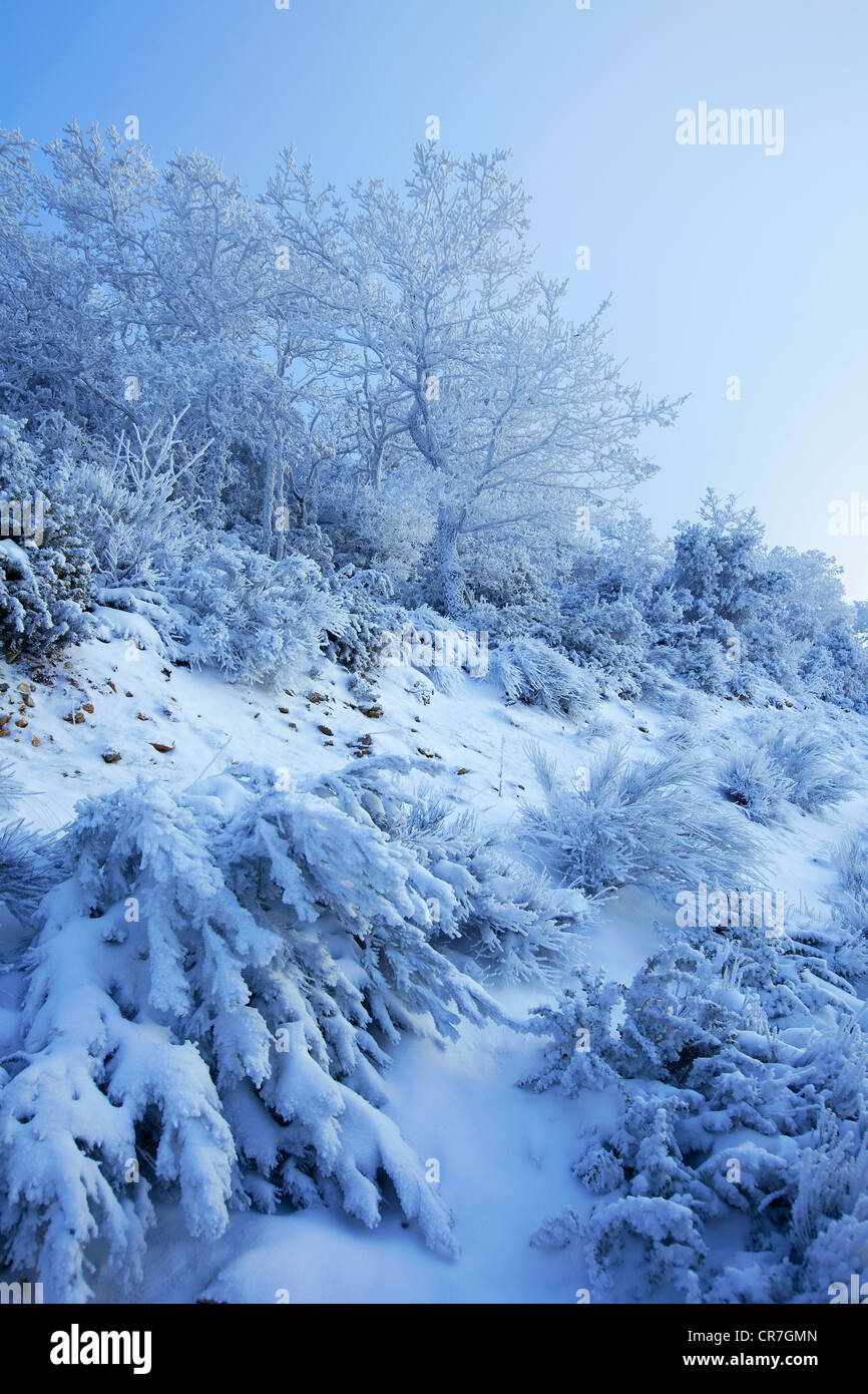 France, Vaucluse, Parc Naturel Regional du Luberon (Natural regional ...