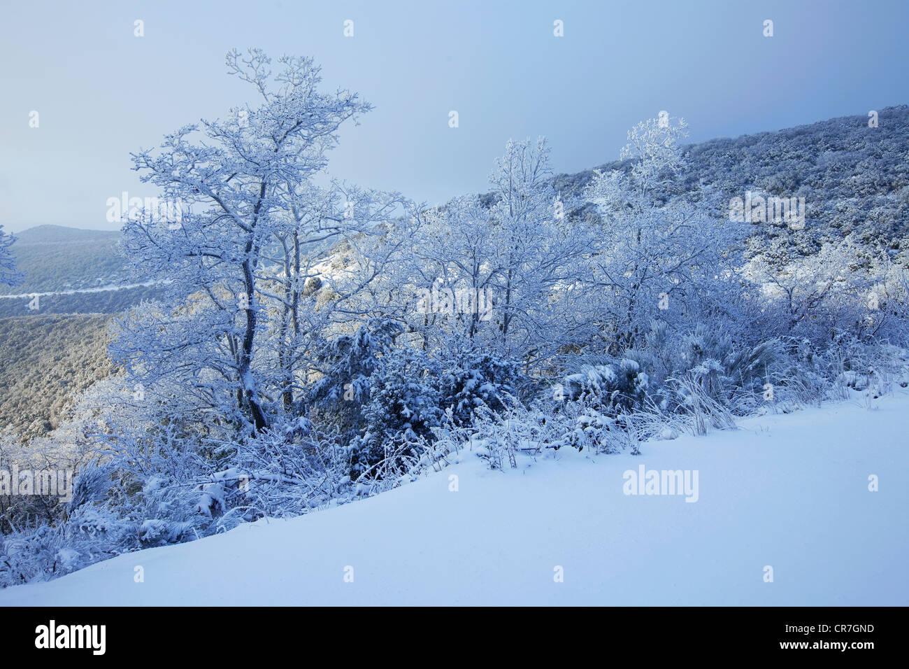 France, Vaucluse, Parc Naturel Regional du Luberon (Natural regional ...