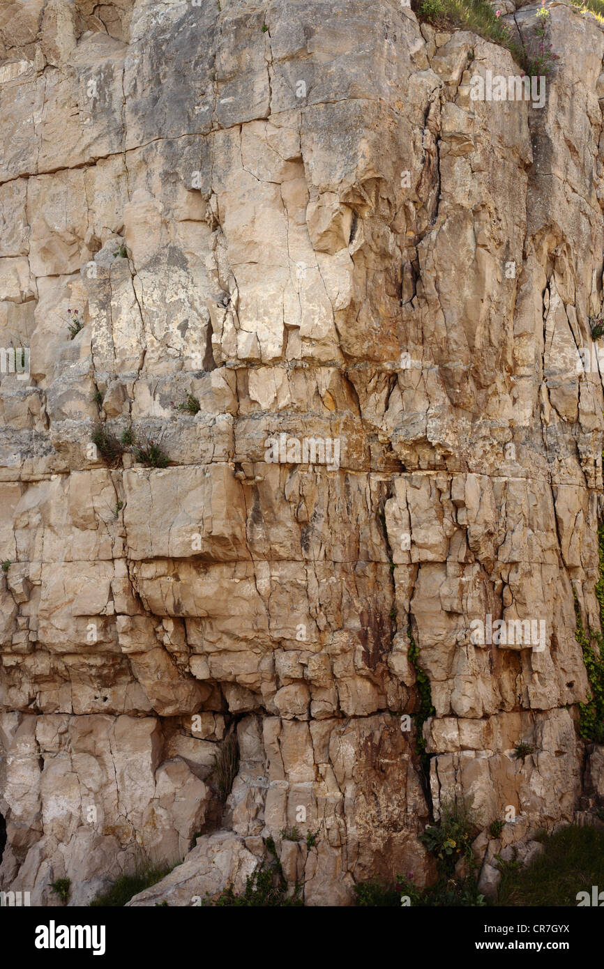 Natural limestone cliff Dorset UK Stock Photo - Alamy