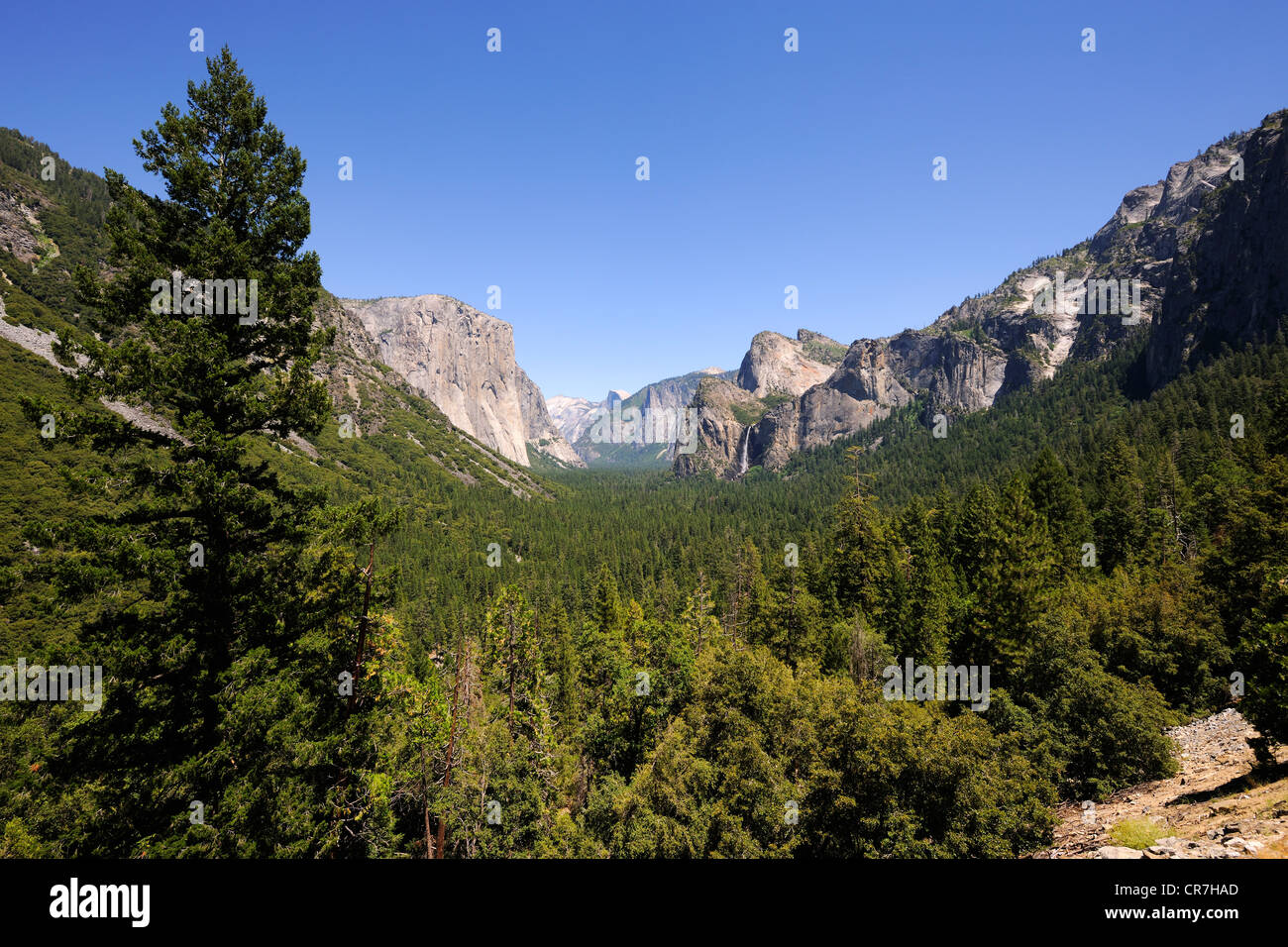 Typical landscape forms with the Merced River in Yosemite National Park ...