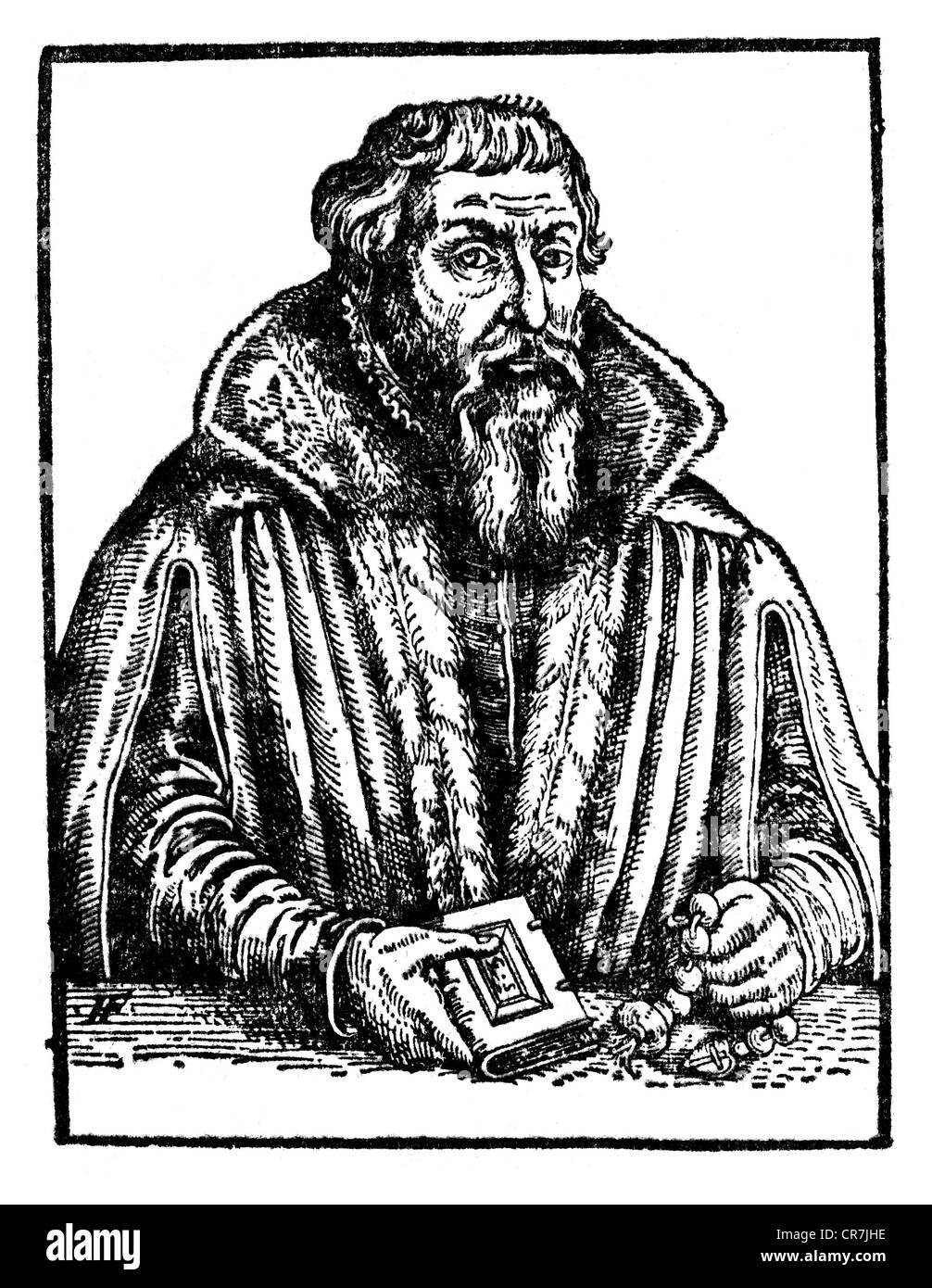 Musculi Black and White Stock Photos & Images - Alamy