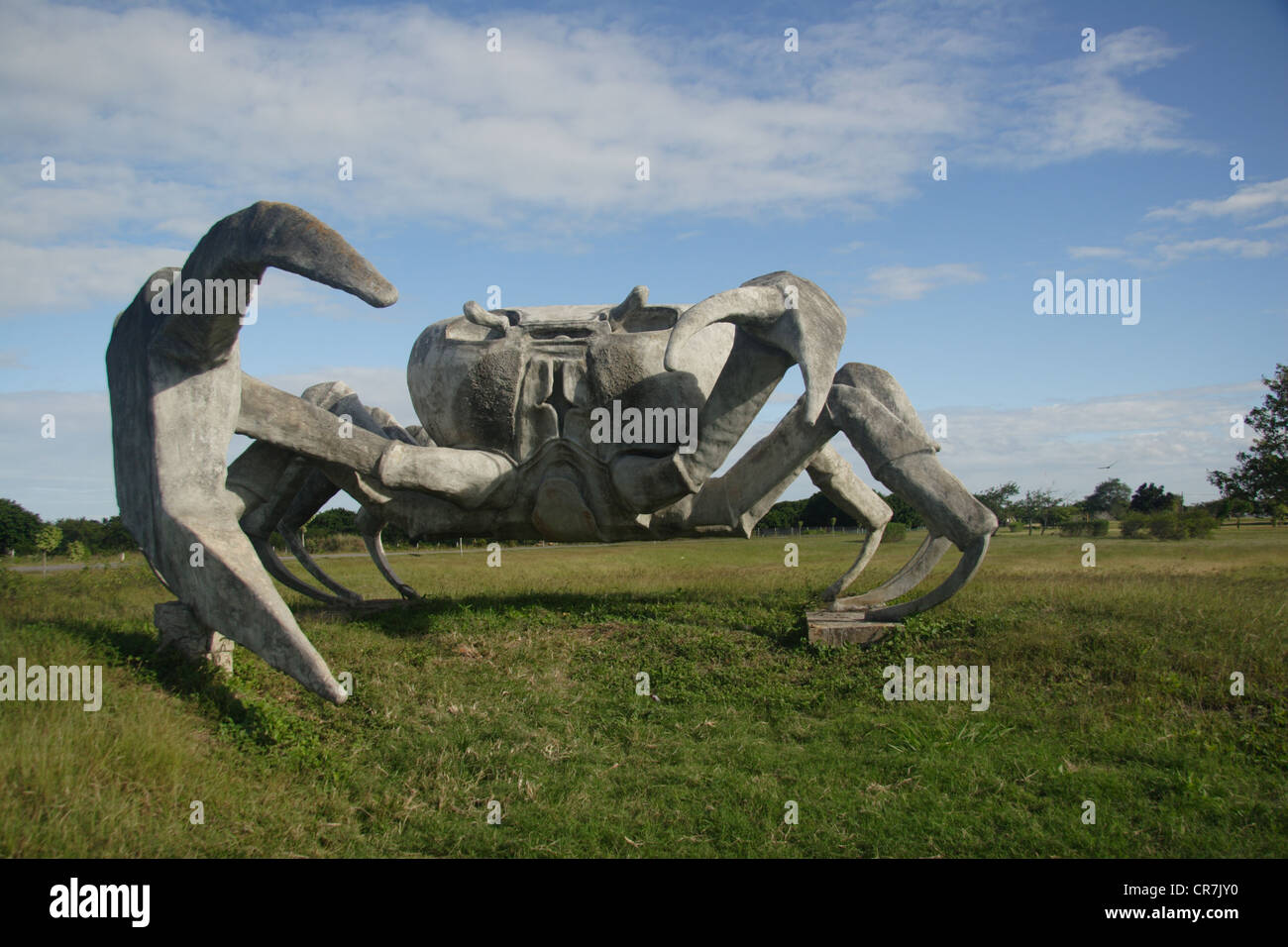 Giant Horseshoe Crab Sculpture