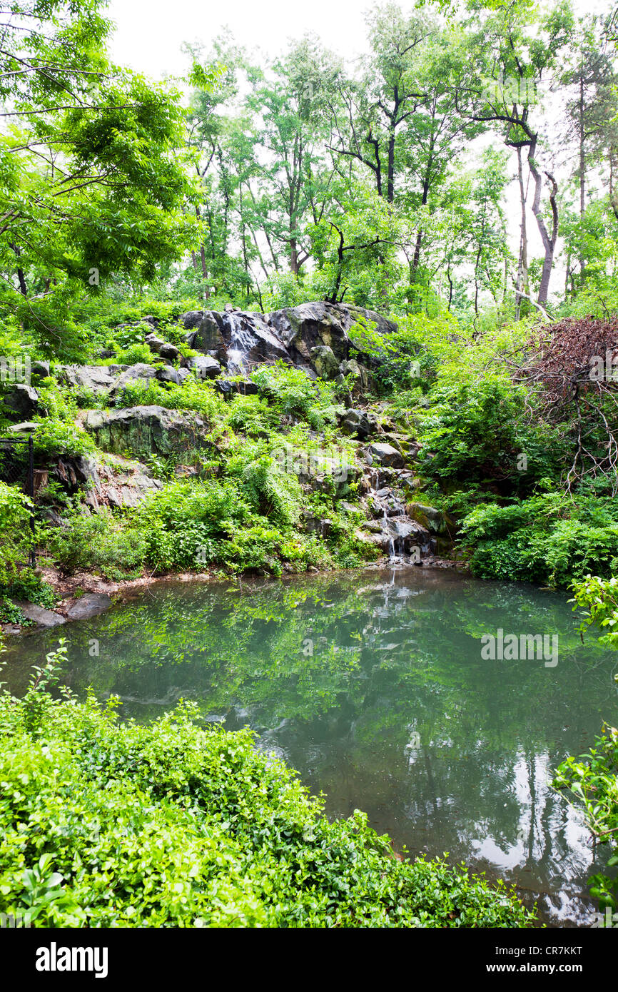Central Park, Manhattan, New York City, NYC, tourist destination ...