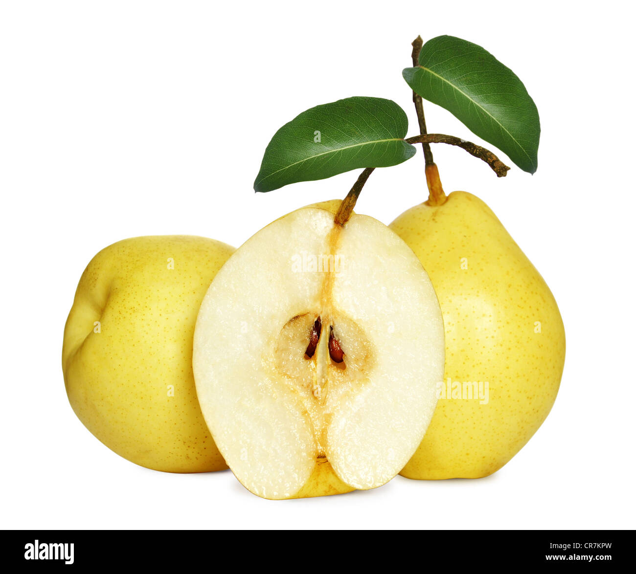 fresh pears with leaves isolated on white background Stock Photo - Alamy