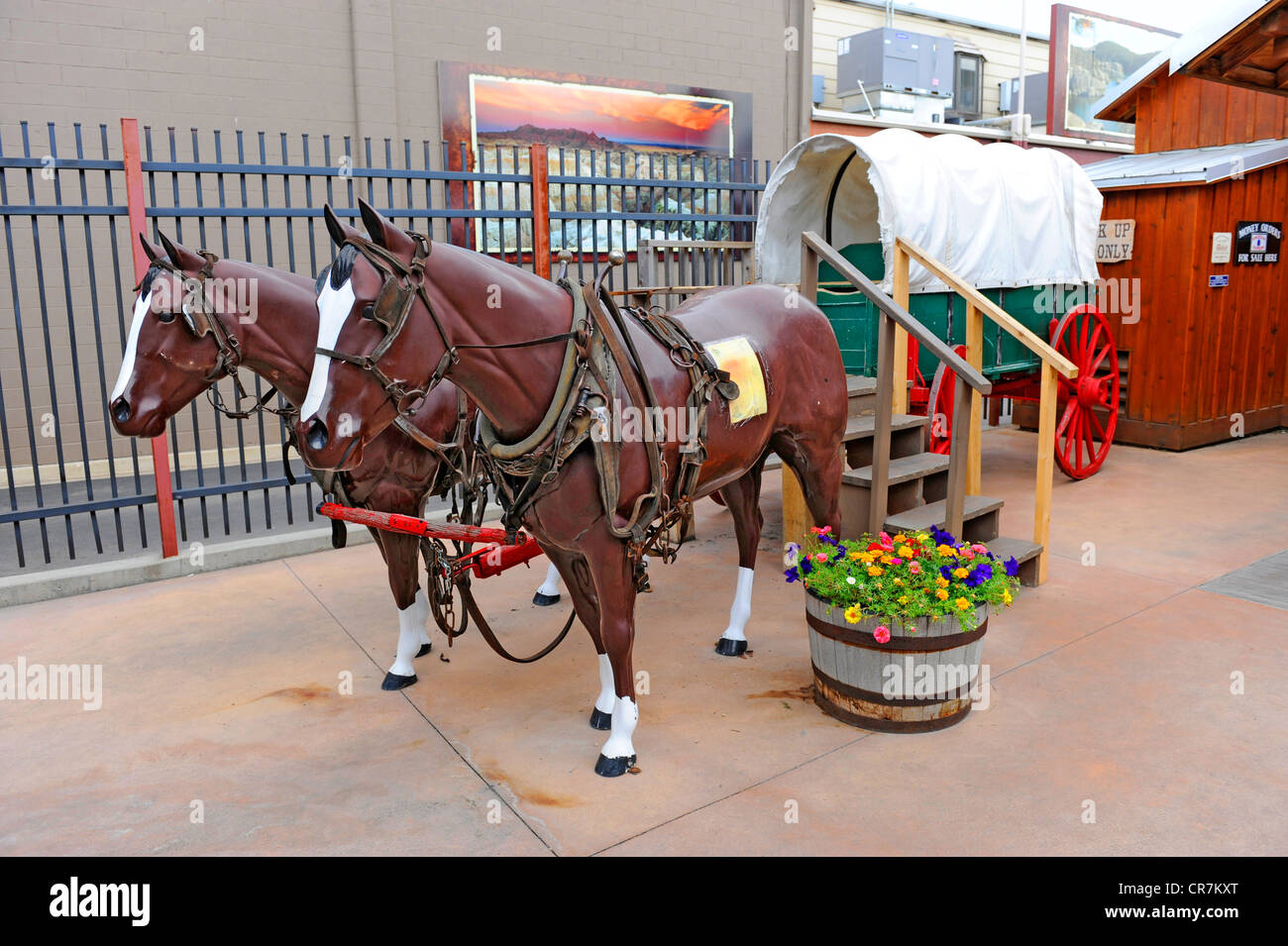 Drug store display old hi-res stock photography and images - Alamy