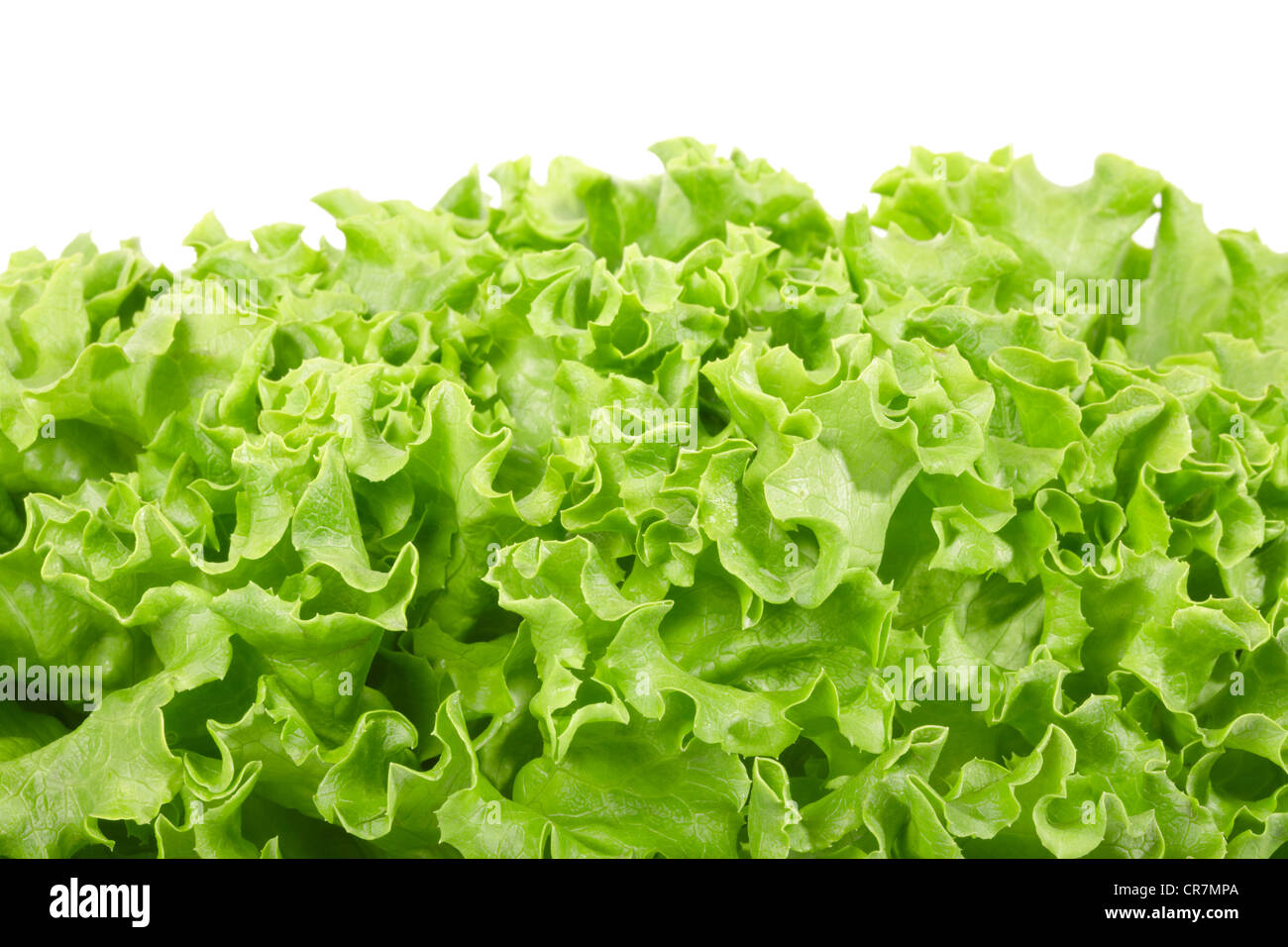 Green salad border Stock Photo - Alamy