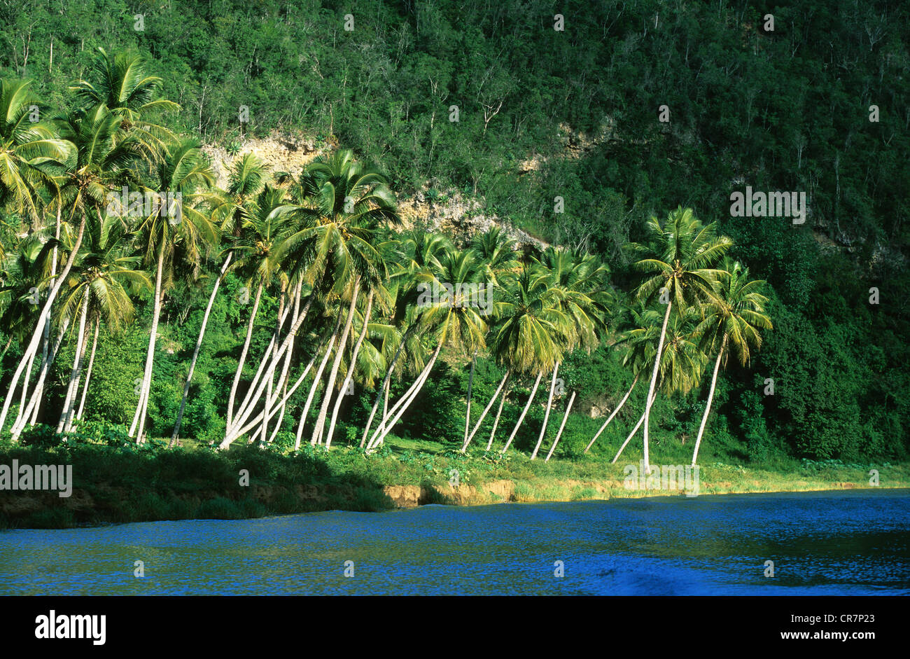 Dominican Republic, Samana Peninsula, La Romana, Rio Chavon river Stock ...