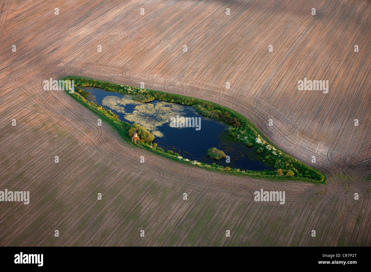 Aerial view of pond and fields hi-res stock photography and images - Alamy