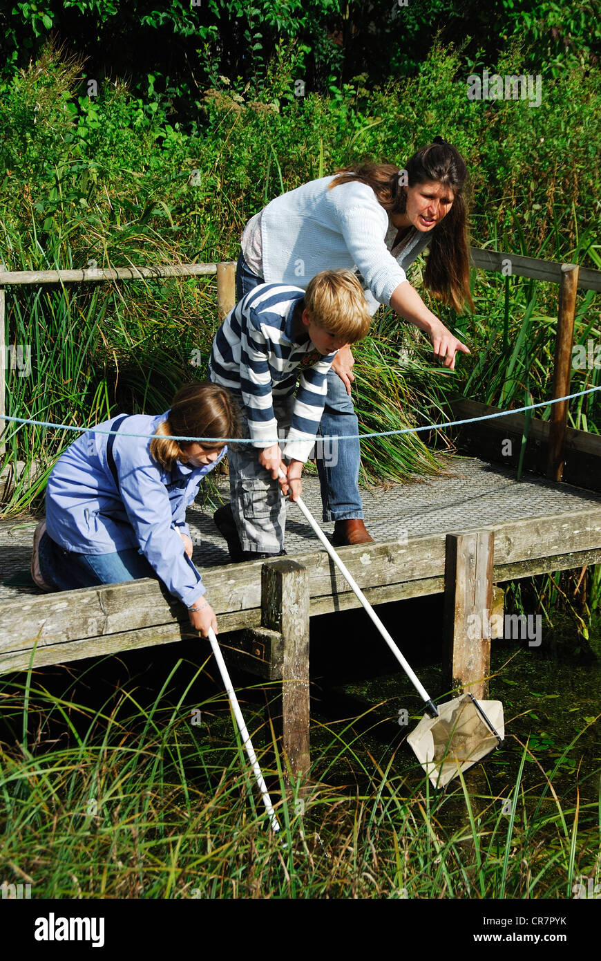 pond dipping people children Stock Photo - Alamy