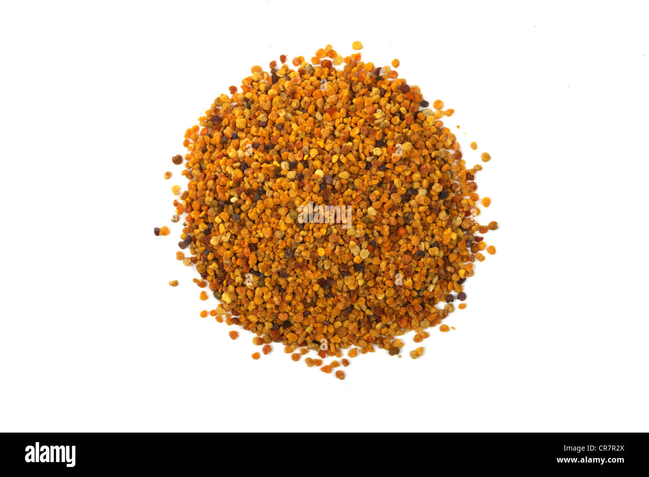 Pollen grains hi-res stock photography and images - Alamy