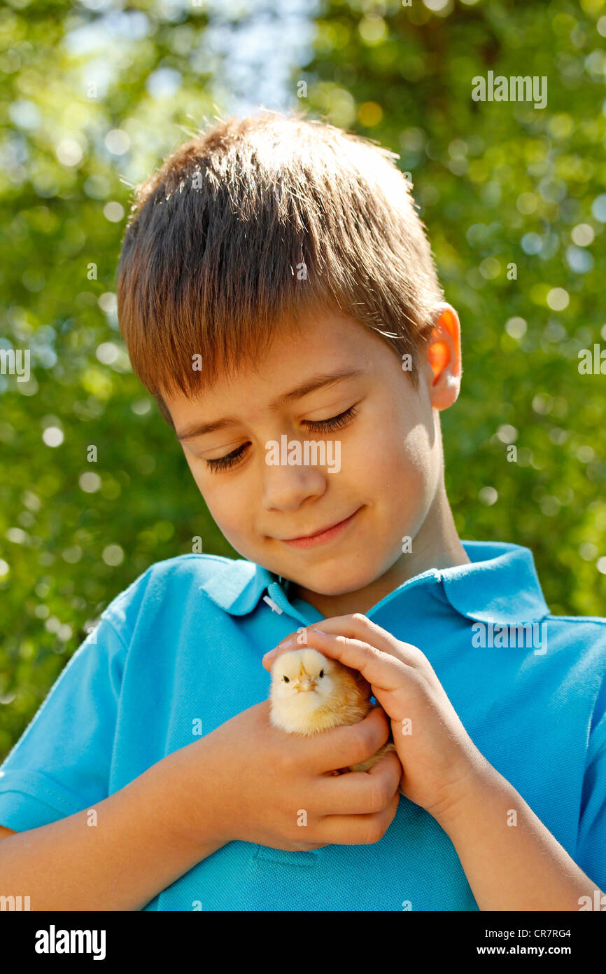 Boy and chick Stock Photo - Alamy