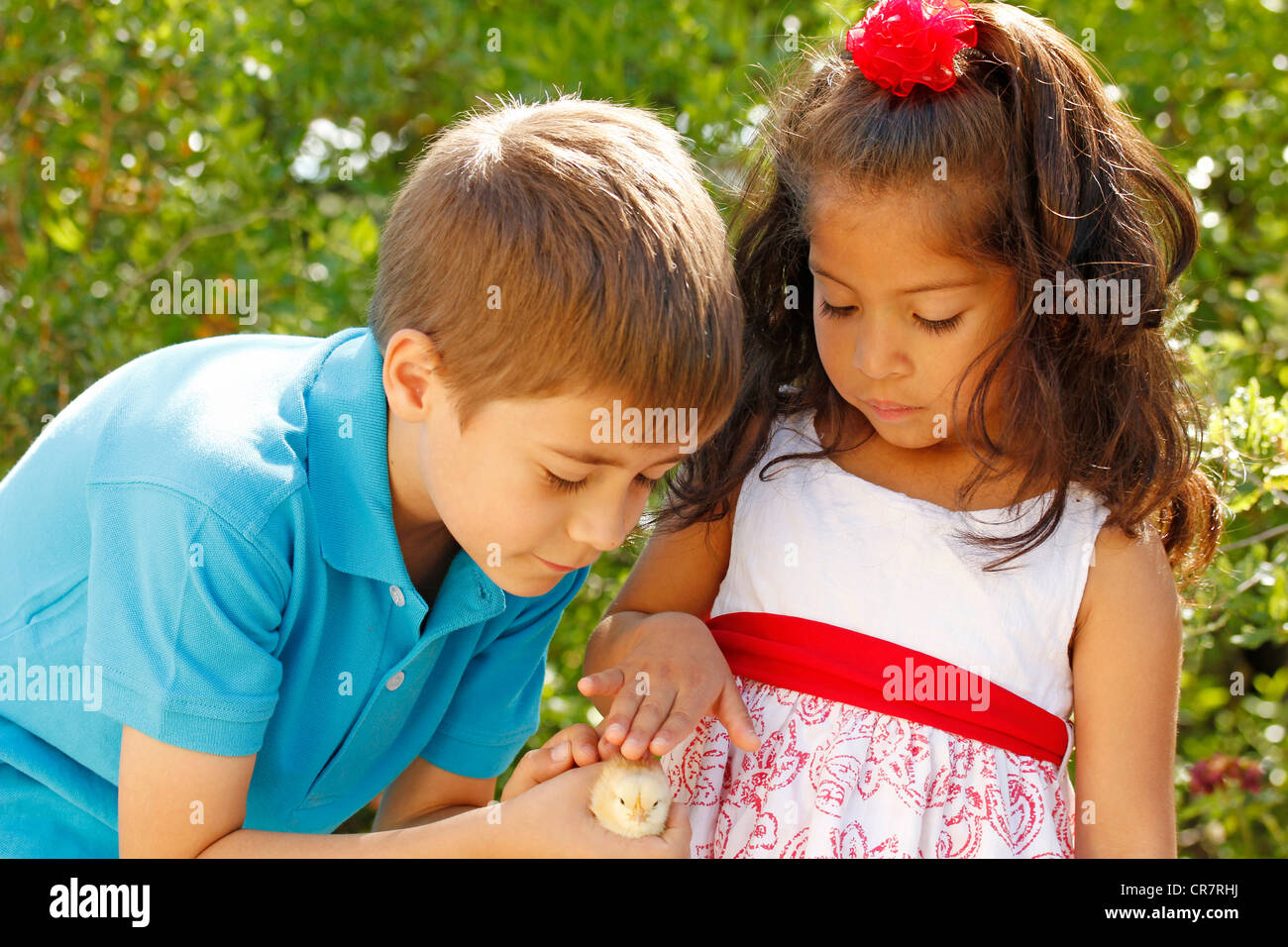 Kids and chick Stock Photo - Alamy