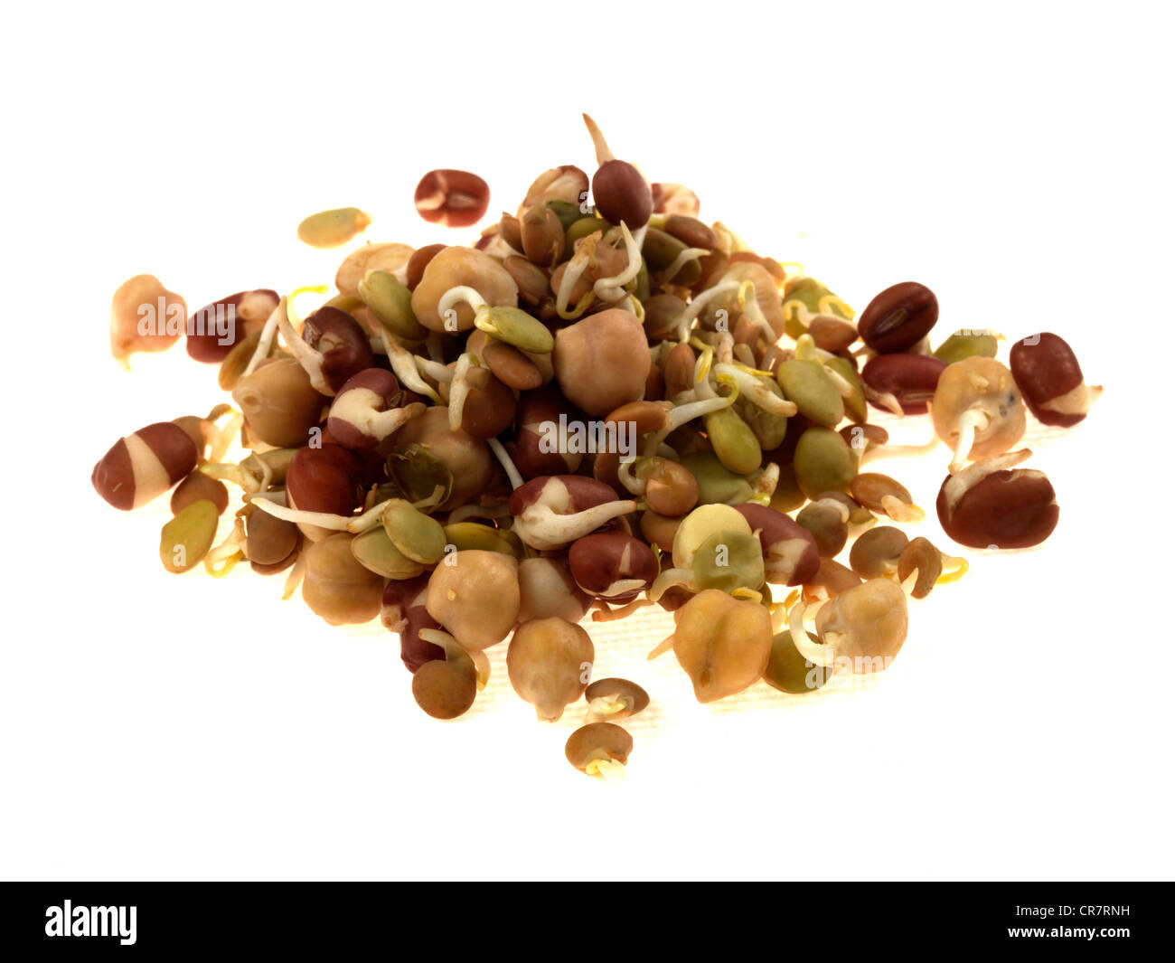 Sprouting seeds hi-res stock photography and images - Alamy
