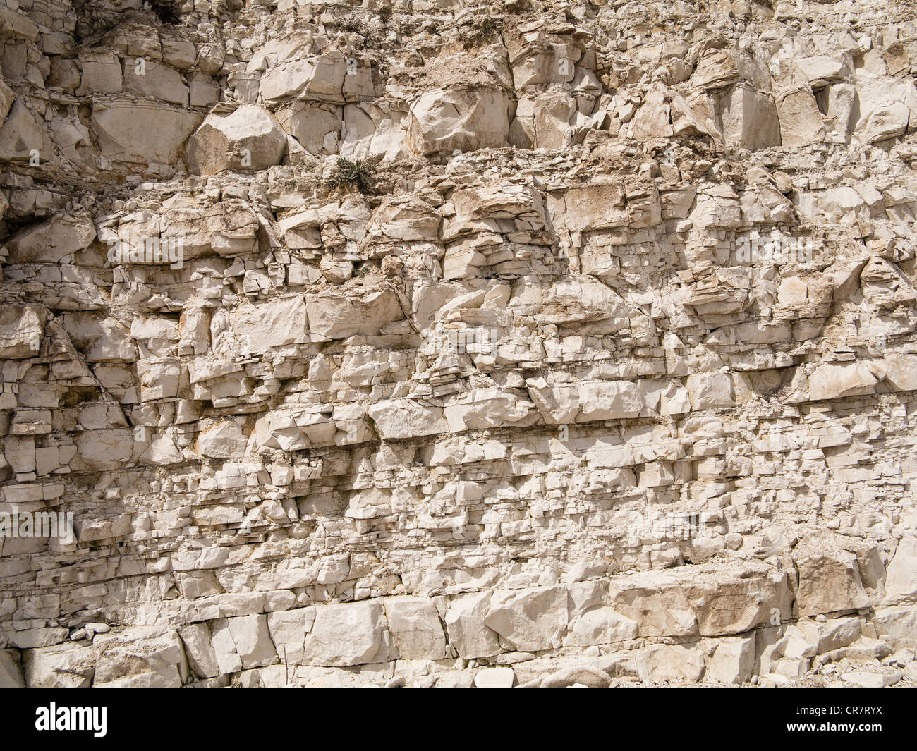 Detail of Upper Cretaceous chalk cliffs at Danes Dyke Flamborough ...