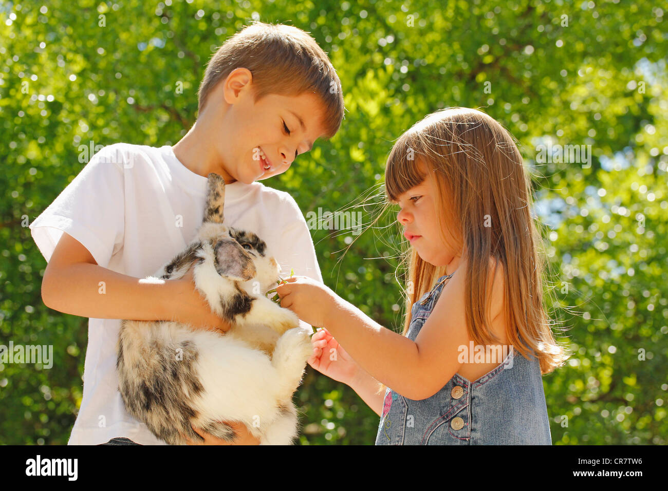 Feeding a rabbit Stock Photo - Alamy