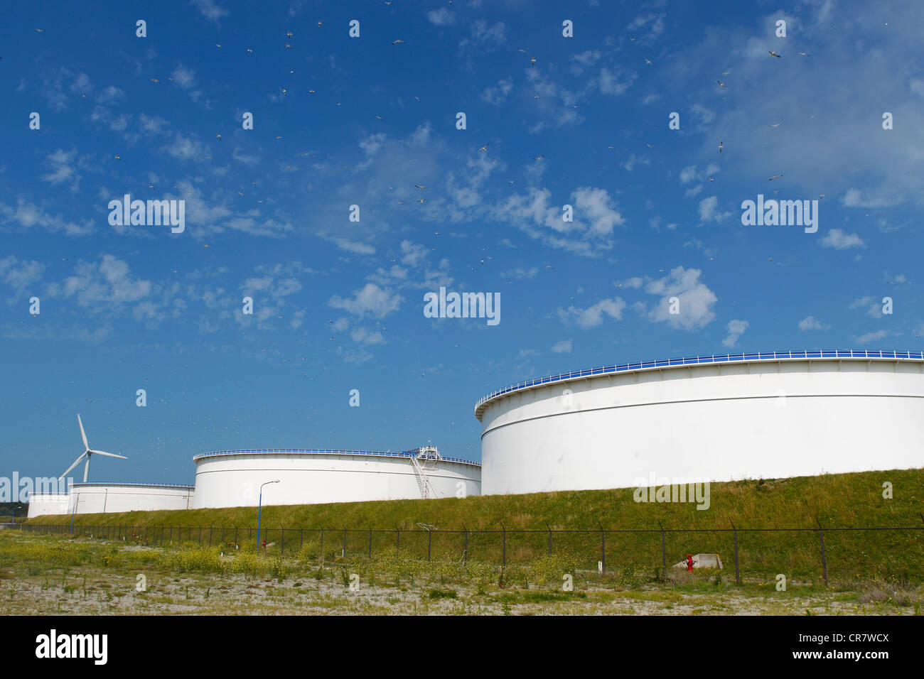 Oil storage, oil tanks in the port of Rotterdam, Holland, the ...