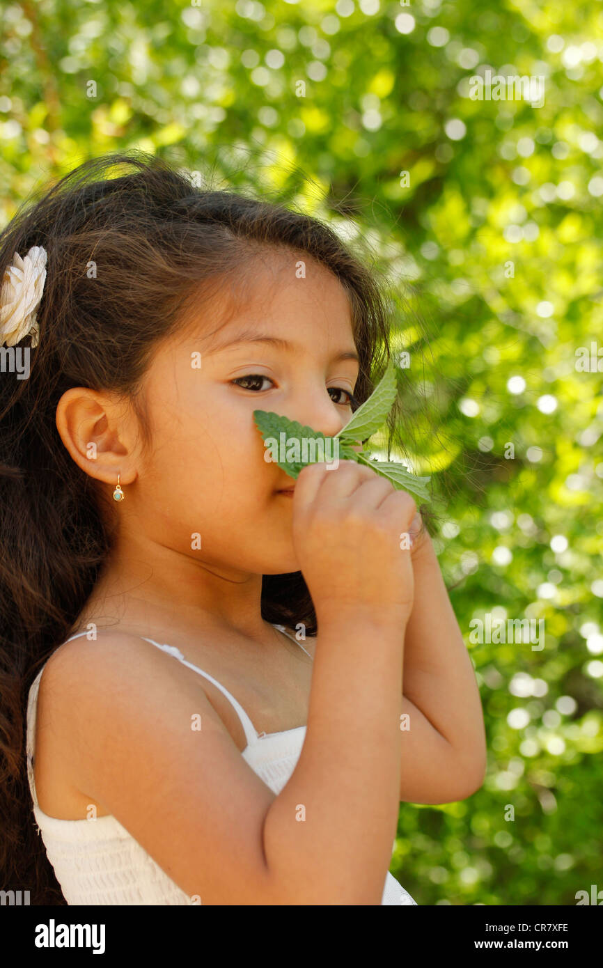 Little girl smelling mint Stock Photo - Alamy