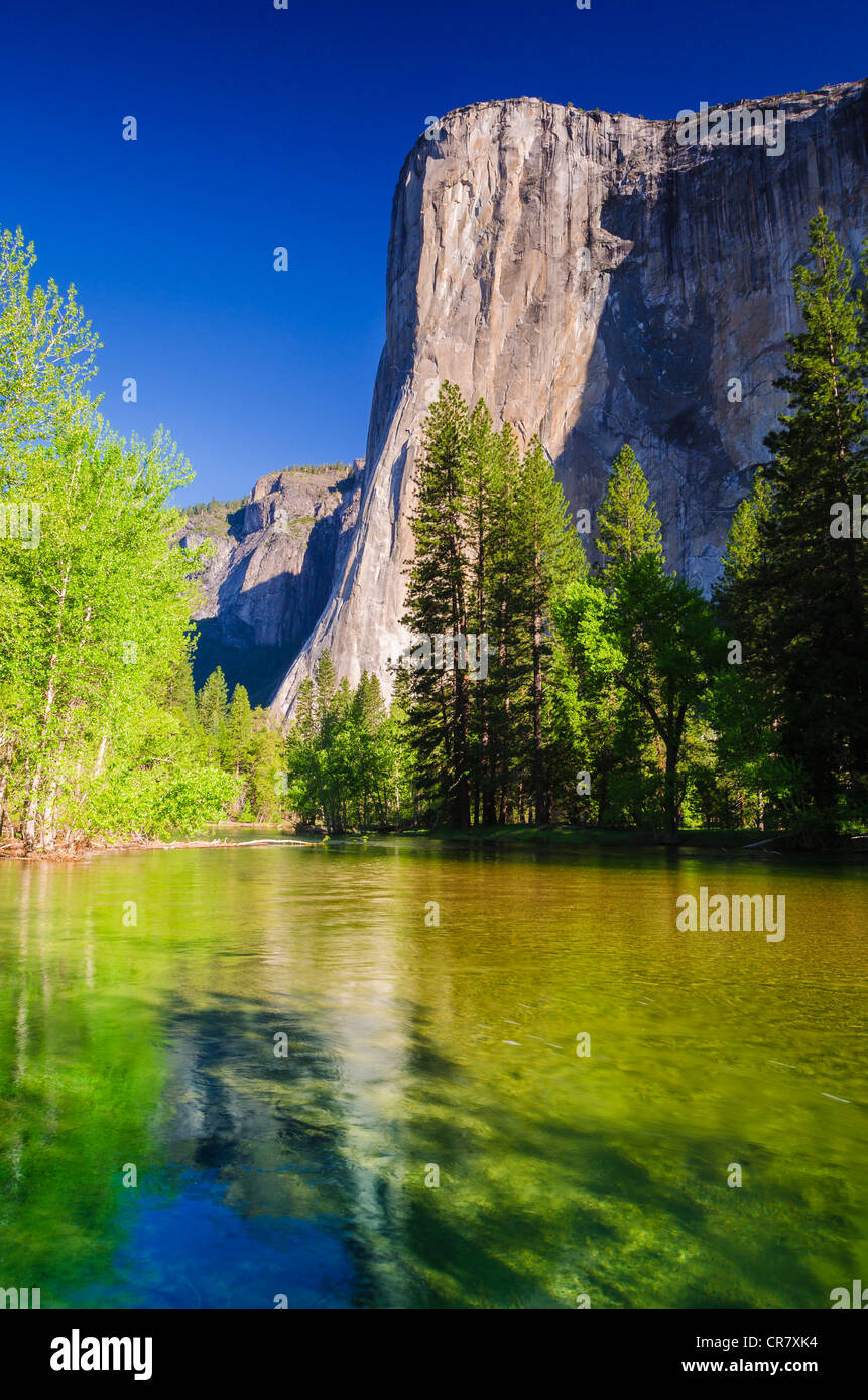 El Capitan above the Merced River, Yosemite National Park, California ...