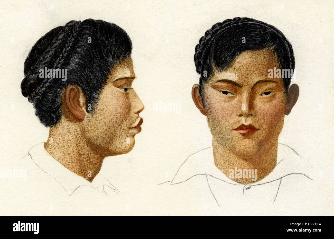 1875 illustration hi-res stock photography and images - Alamy