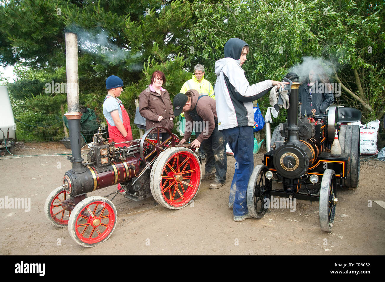 Cornwall, England, UK - Royal Cornwall Show, teens exhibiting miniature ...