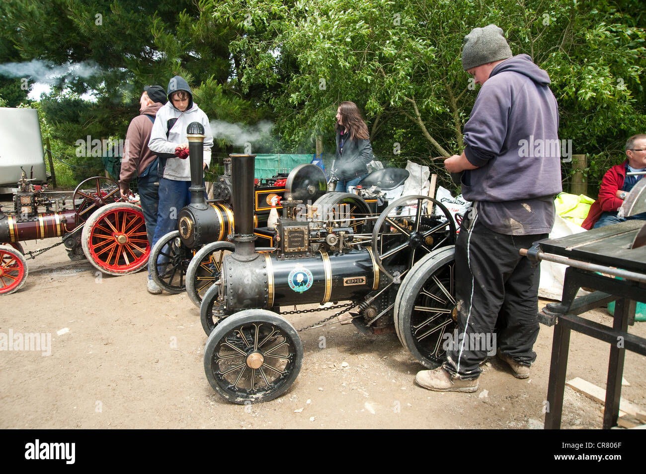 Cornwall, England, UK - Royal Cornwall Show, teens exhibiting miniature ...