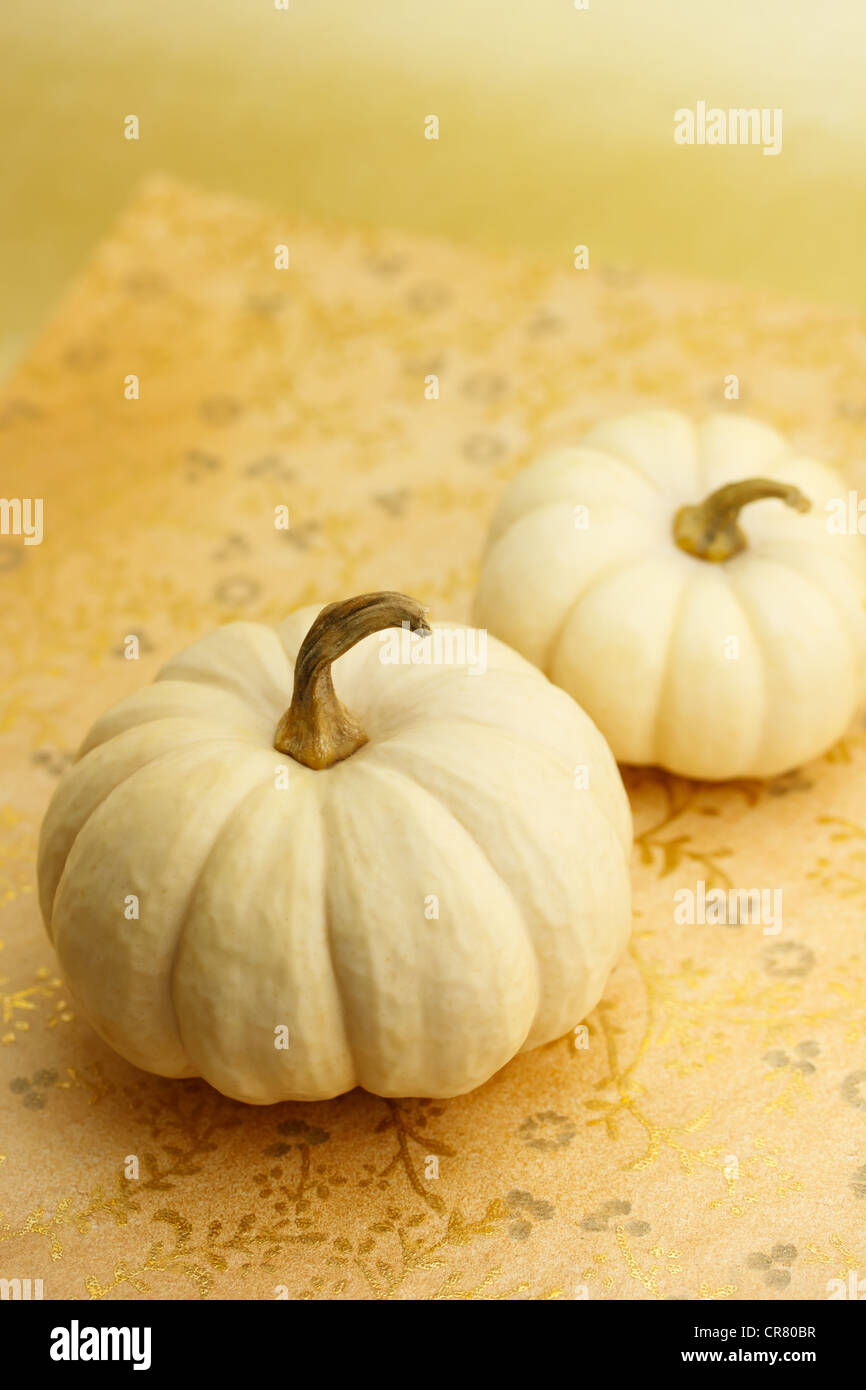 Two Cute Pumpkins Stock Photo - Alamy