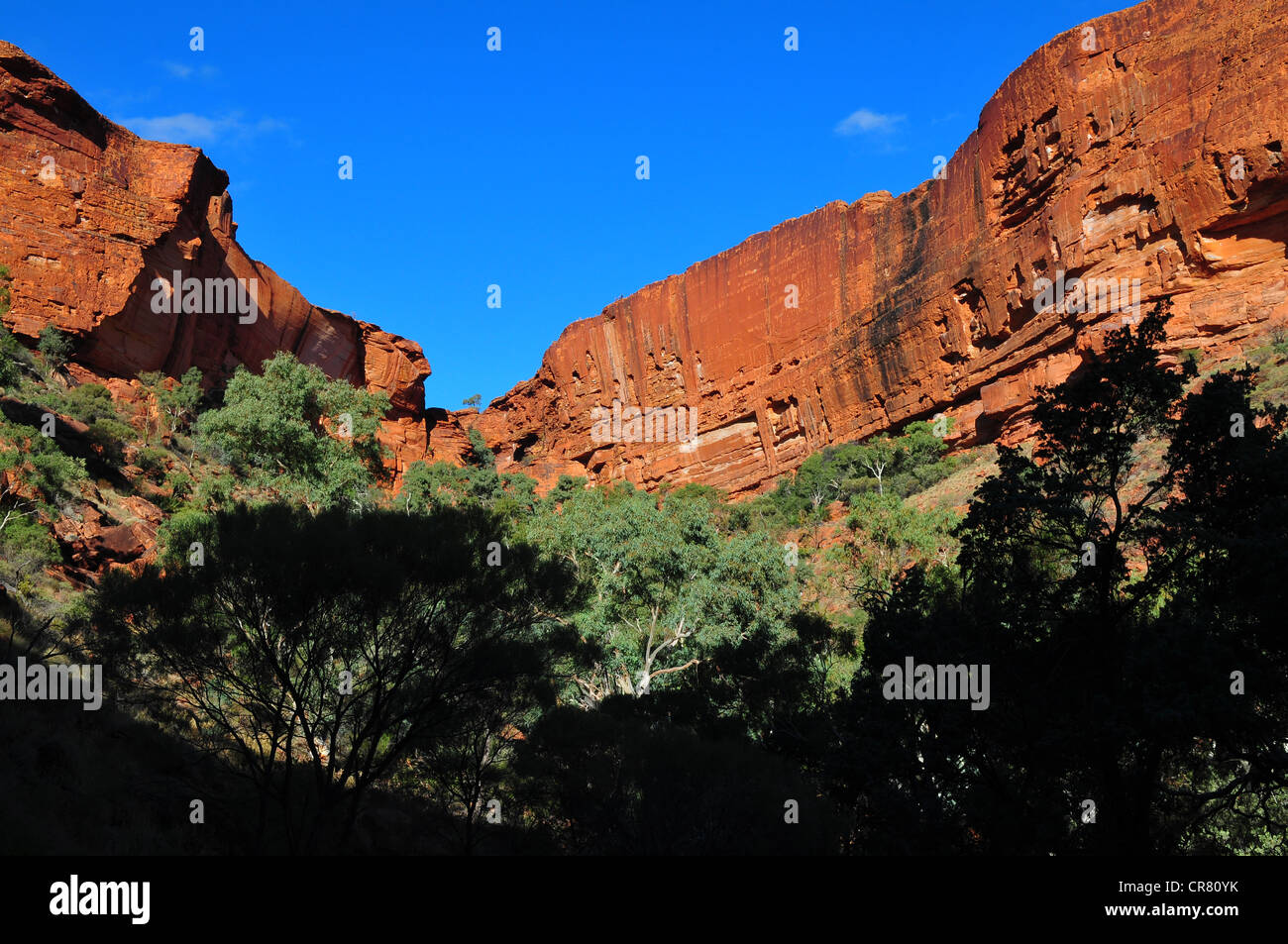 Australia, Northerm Territory, Outback Region, Watarrka National Park ...