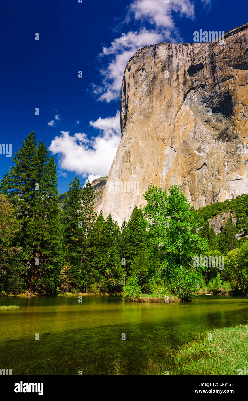 El Capitan above the Merced River, Yosemite National Park, California ...