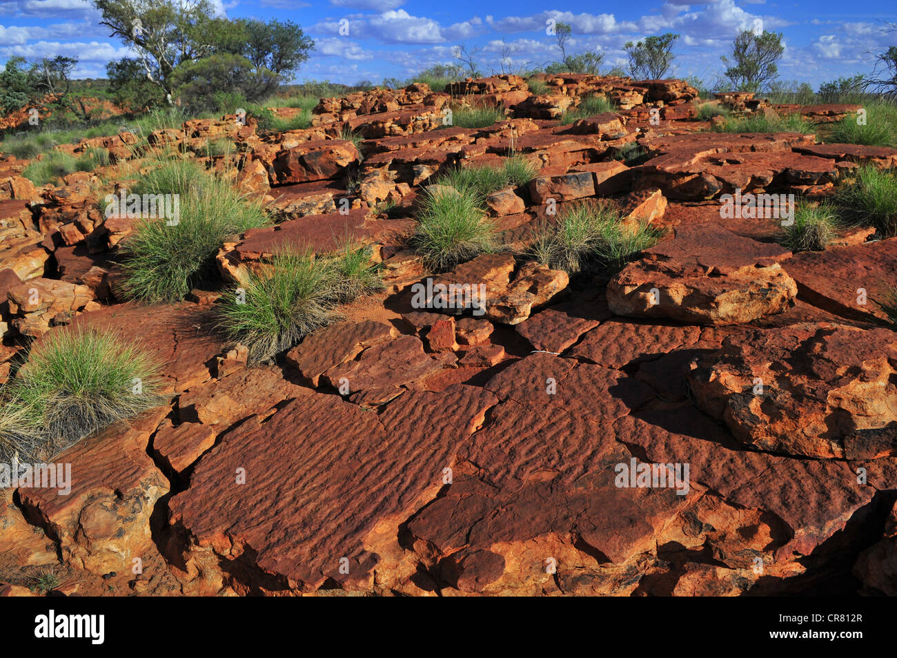 Aboriginal territory hi-res stock photography and images - Alamy