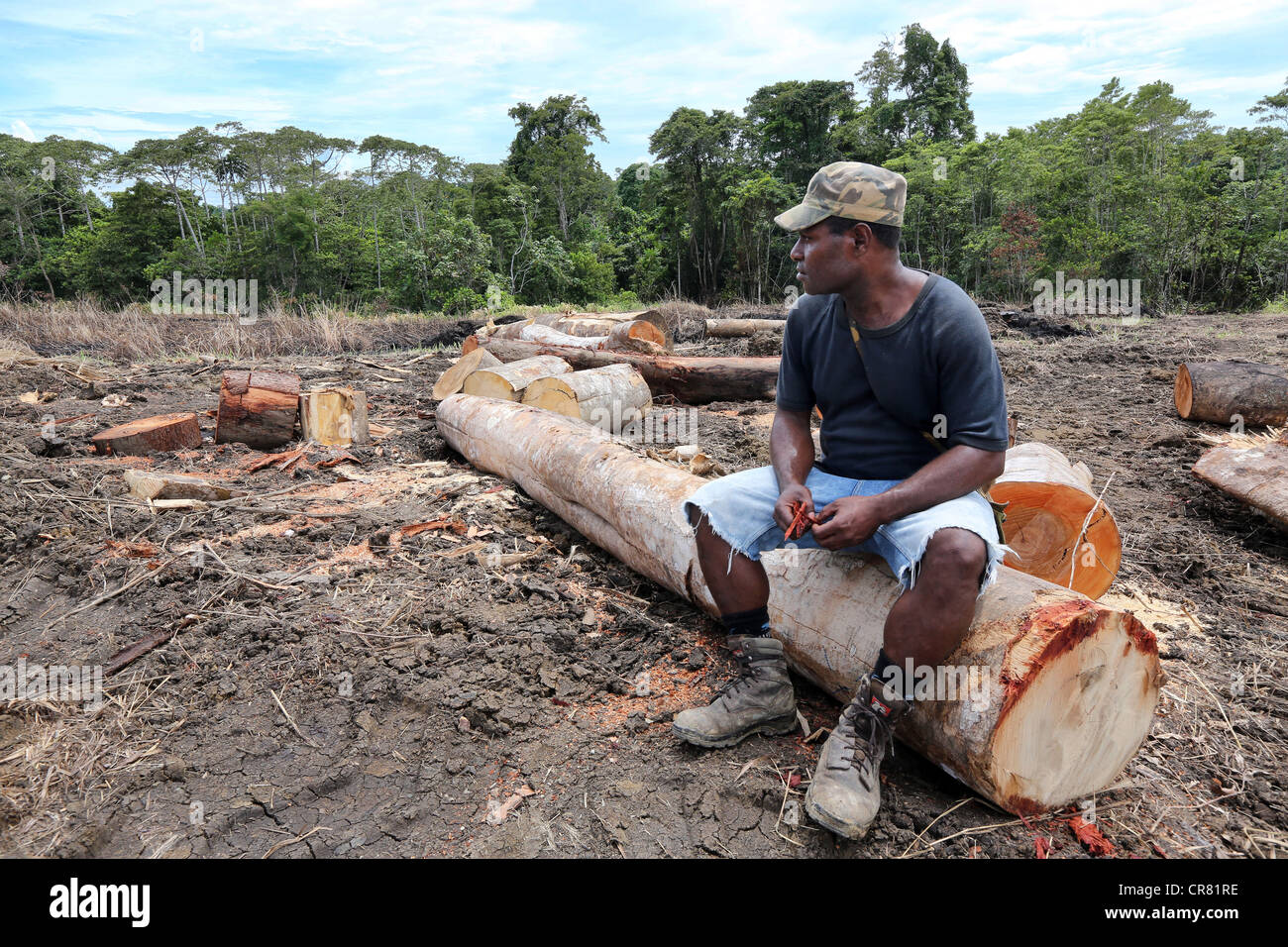 Png rainforest hi-res stock photography and images - Alamy