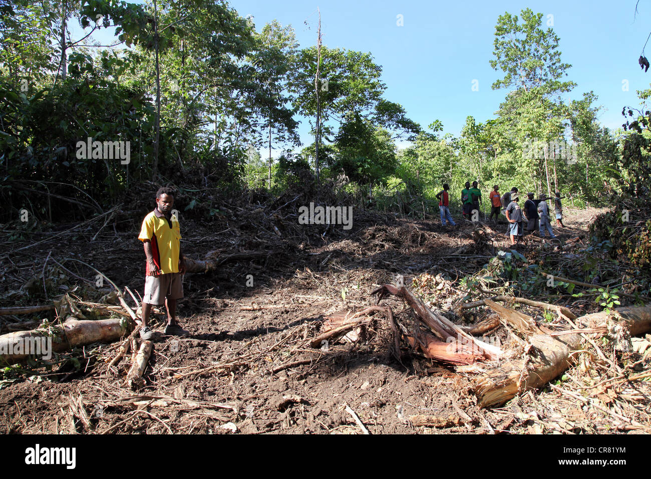 Rainforest deforestation log hi-res stock photography and images - Alamy