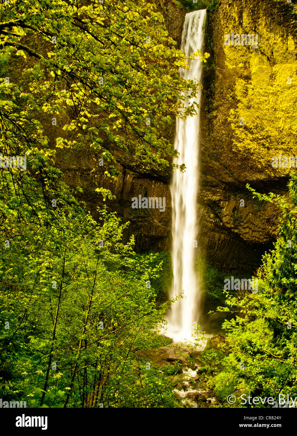 Glistens in the sun hi-res stock photography and images - Alamy