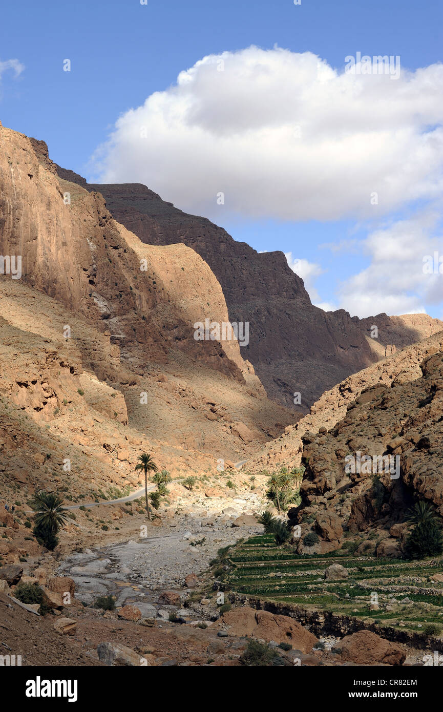Gorge du Todra, Todra Gorge, Atlas Mountains, near Tinghir, southern ...
